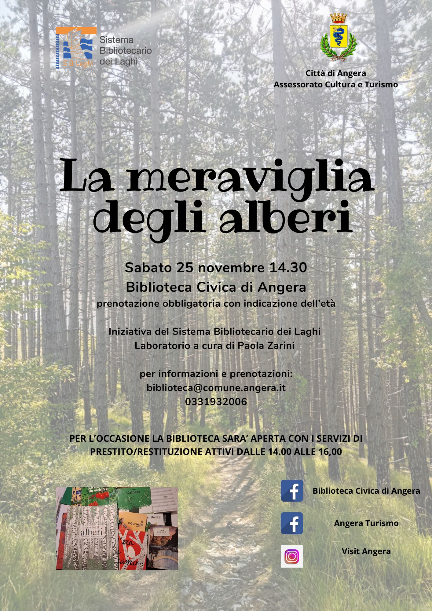 La meraviglia degli alberi | Angera Turismo